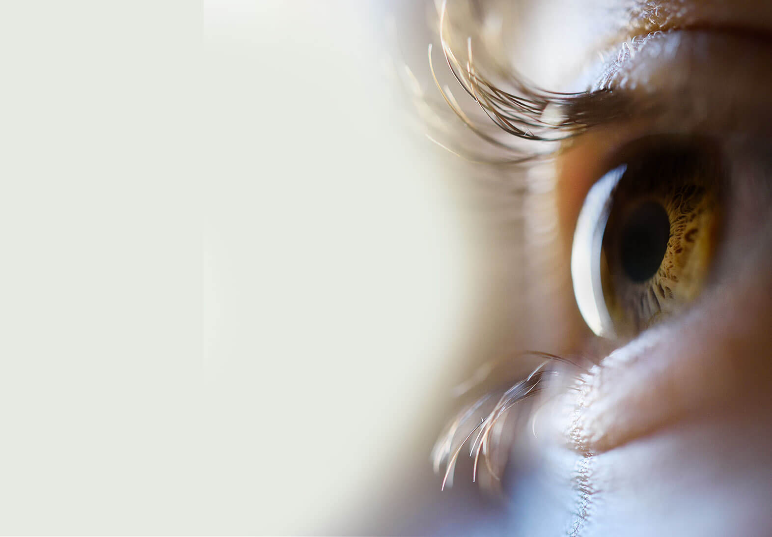 Managing Dry Eye: Focus On Tear Film | The Eye Observer